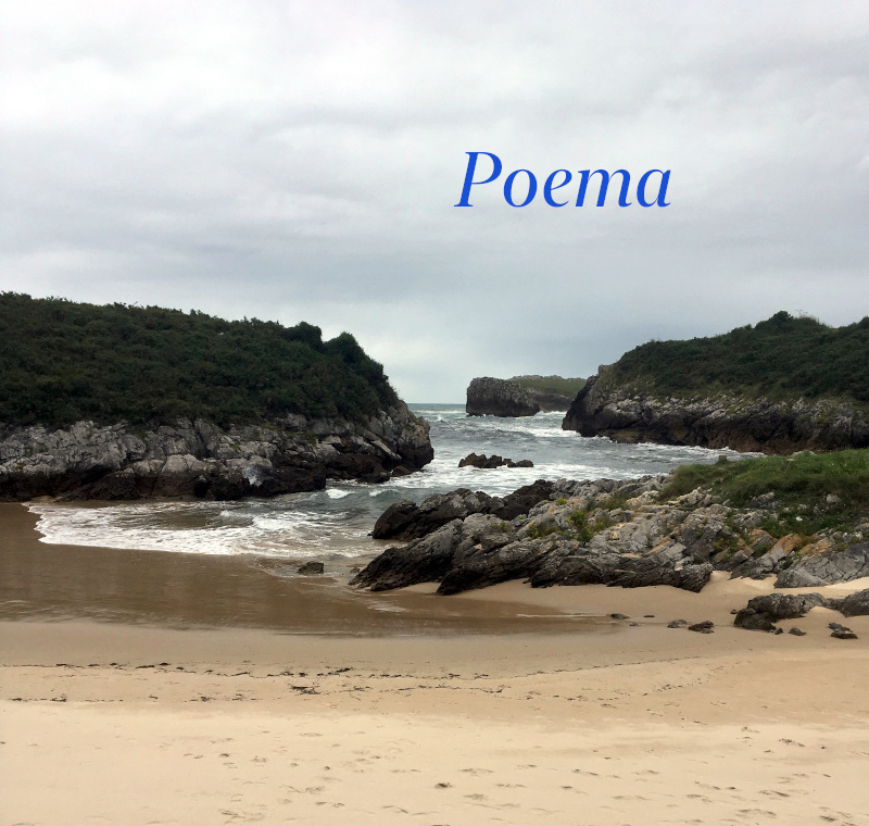 Verano eterno – Literatura abierta